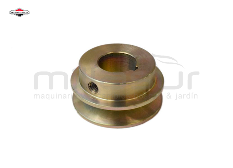 MOTOR PULLEY | Millasur | Maquinaria y recambios para bosque & jardín